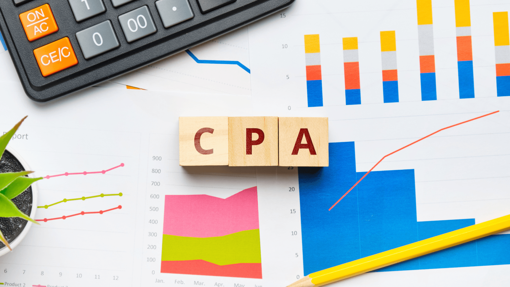 Local CPA Firm | What You Need To Know