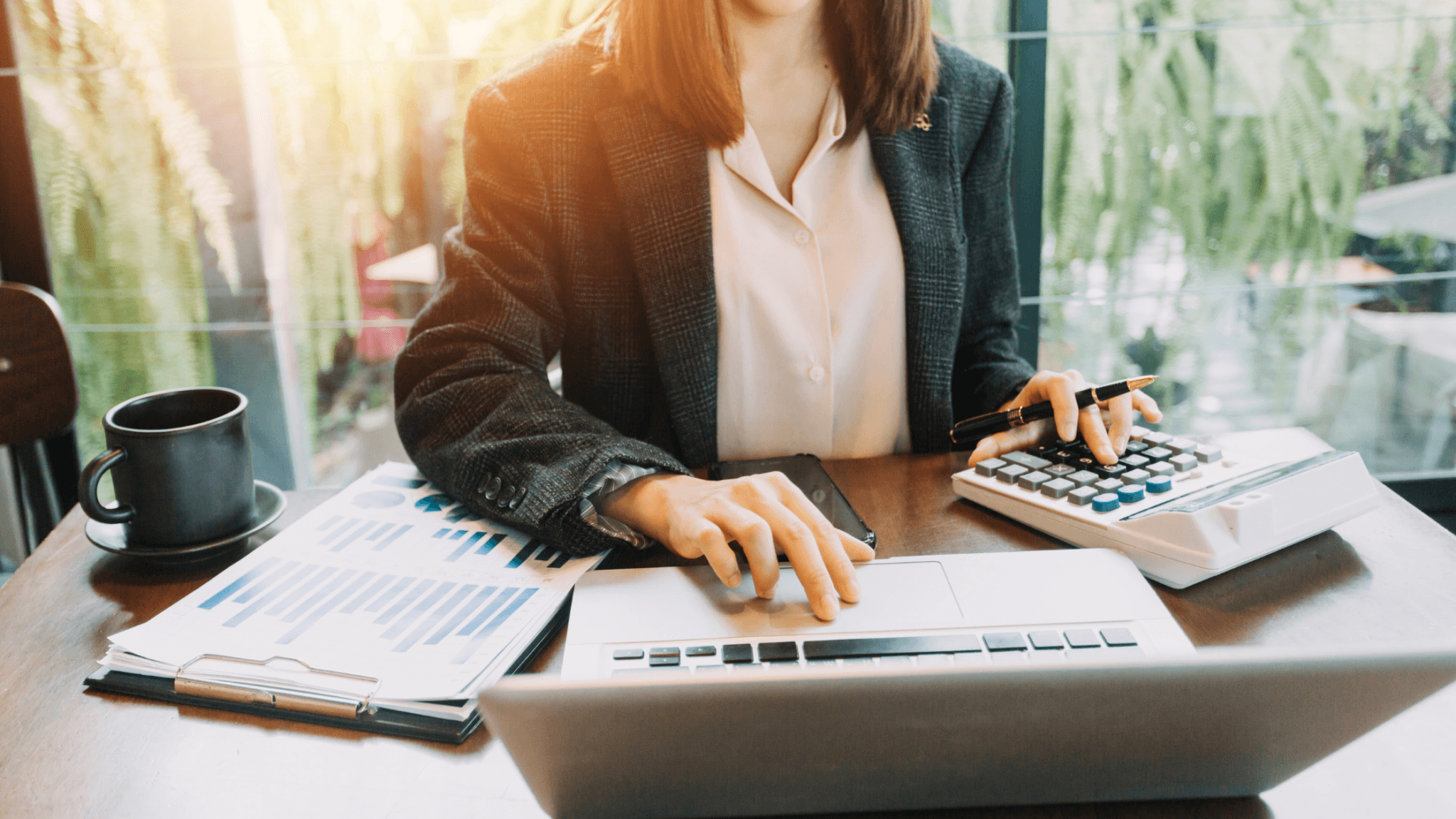 White Plains SEO for Local Growth